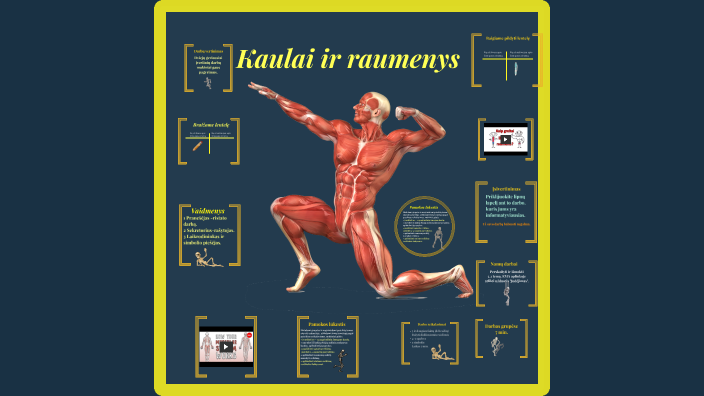 7 kl. 5.2 Griaučiai, sąnariai, raumenys. by Danguole Vaznele on Prezi