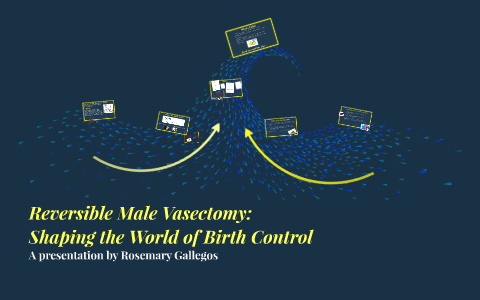 Reversible Male Vasectomy: Birth Control for Men by Rosemary Gallegos ...