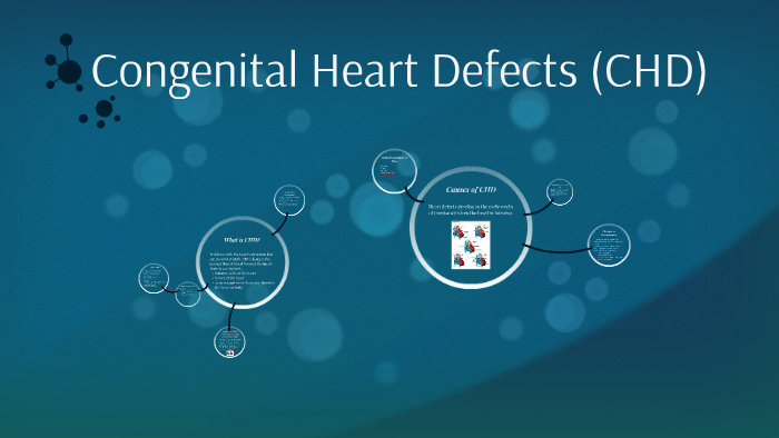 What is CCHD? by Chloe Taddeo on Prezi