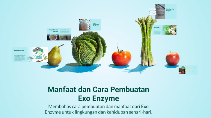 Manfaat dan Cara Pembuatan Exo Enzyme by leaaa aulll on Prezi