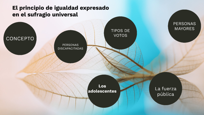 Principios De Igualdad Expresado En El Sufragio Universal by JOSE FRAY on Prezi