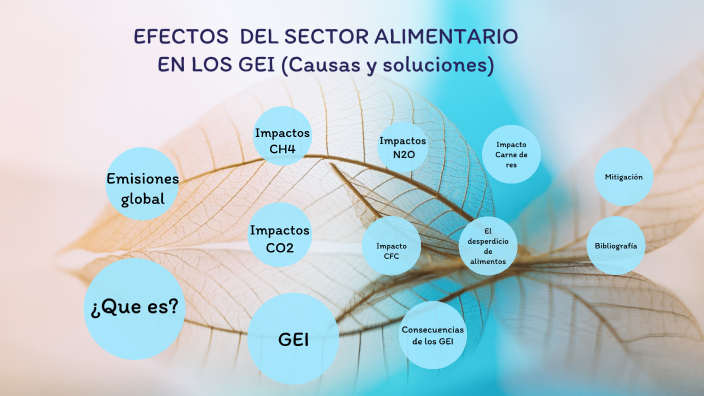 EFECTOS DEL SECTOR ALIMENTARIO EN LOS GEI (causas y soluciones). by ...