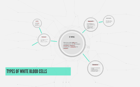 FIVE TYPES OF WHITE BLOOD CELLS by Juan Lopez
