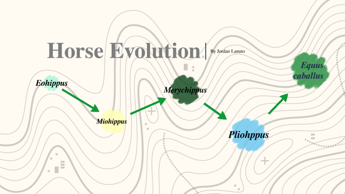 Horse Timeline by Jordan Lanuto on Prezi
