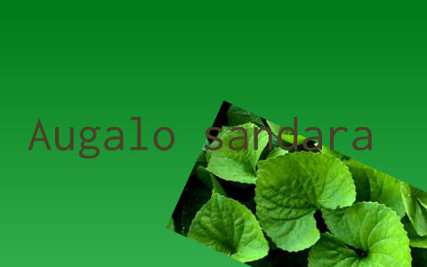 Augalo sandara by jovita jovita on Prezi