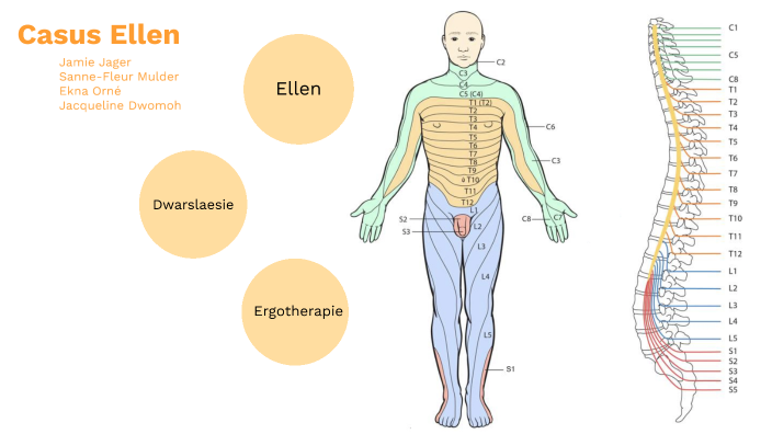 Dwarslaesie by Jamie Jager