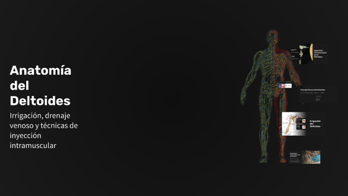 Anatomía del Deltoides by lael ramirez on Prezi