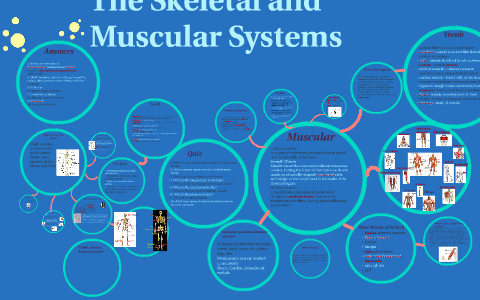 Skeletal and Muscular systems by on Prezi