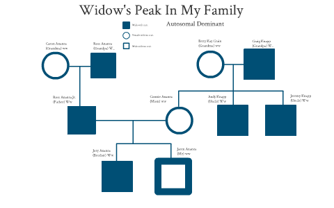Human Pedigree Analysis Project by Jaren Ananea on Prezi