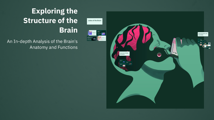 Exploring the Structure of the Brain by Yaacoub Khalil on Prezi
