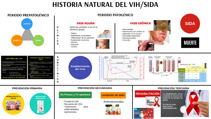 HISTORIA NATURAL DEL VIH by Karuna on Prezi