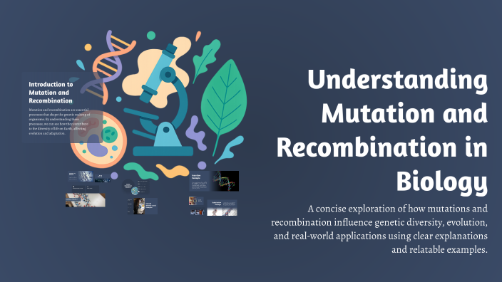 Understanding Mutation and Recombination in Biology by Zeliane Notario ...