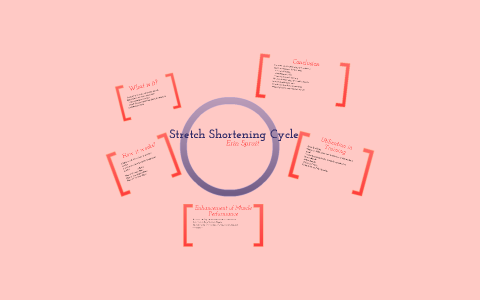 Stretch Shortening Cycle in Muscles by Erin Spruit on Prezi