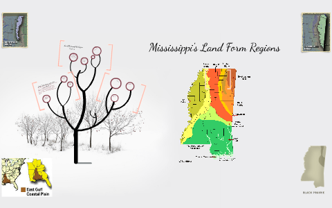 Mississippi's Landform Regions by Loni Gardner on Prezi