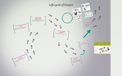 Life cycle of carpet by Annamarie Guth on Prezi