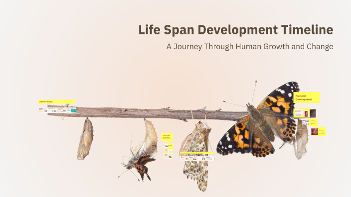 Life Span Development Timeline by Davy Adams on Prezi