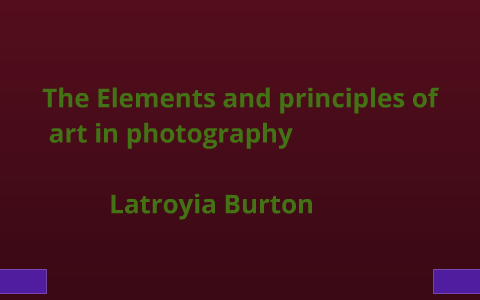 The Elements and principles of Art in Photography by latroyia burton on ...