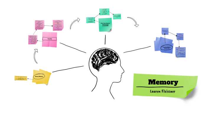 Memory Presentation by Lauren Fleissner on Prezi