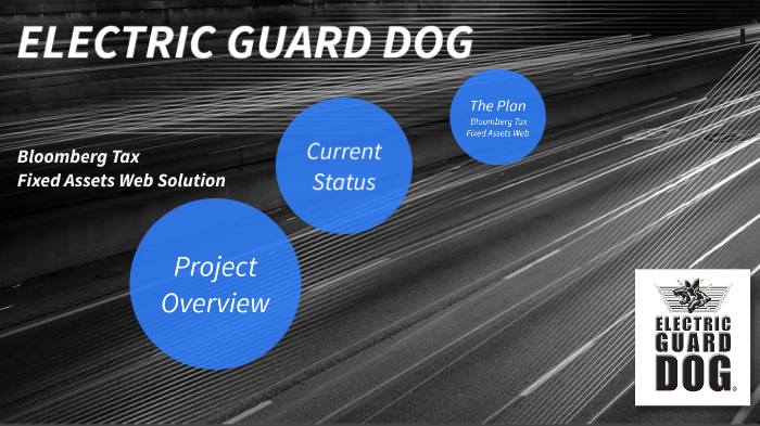ELECTRIC GUARD DOG- Fixed Assets Solution by Adam Intonti on Prezi