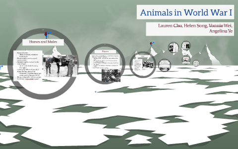 Animals in World War I by Vonnie Wei on Prezi