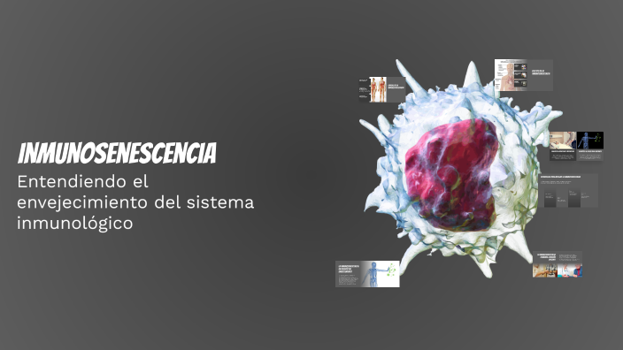 Inmunosenescencia by Luis Robles on Prezi