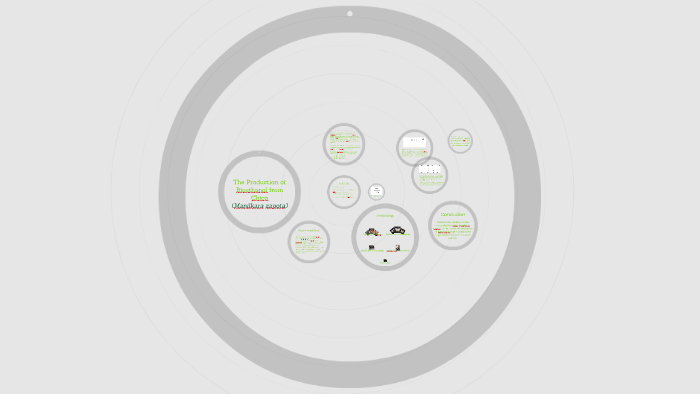 The Production of Bioethanol from Chico by Larrie Antoni Adaptar on Prezi