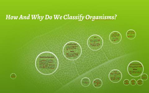 How And Why Do We Classify Organisms? by Emilie E on Prezi