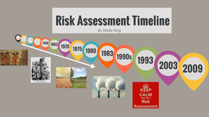 Risk Assessment Timeline by Sheila King on Prezi
