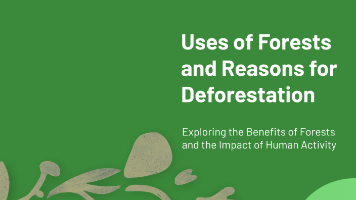 Uses of Forests and Reasons for Deforestation by a b on Prezi