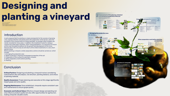 Raising the vineyard by Ivan Dlačić on Prezi