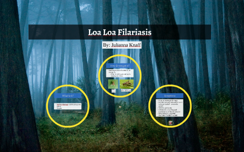 Loa Loa Filaria by Julie K on Prezi