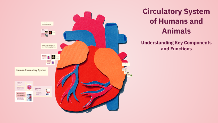 Circulatory System of Humans and Animals by Loties Key Padua on Prezi
