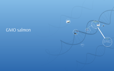 GMO salmon by austin lingle