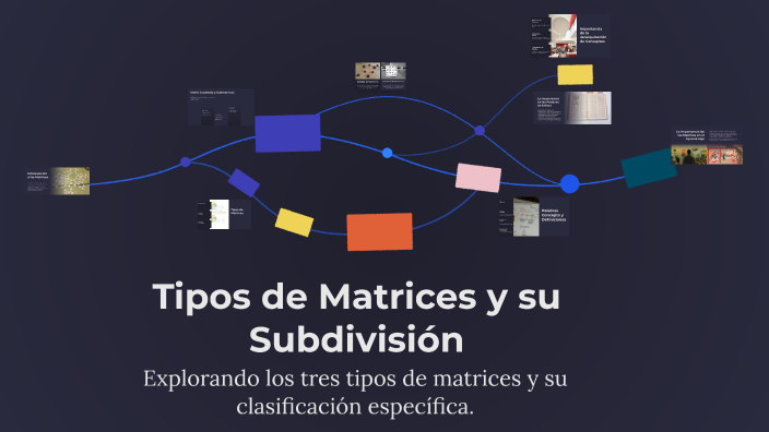 Tipos de Matrices y su Subdivisión by jose gil on Prezi