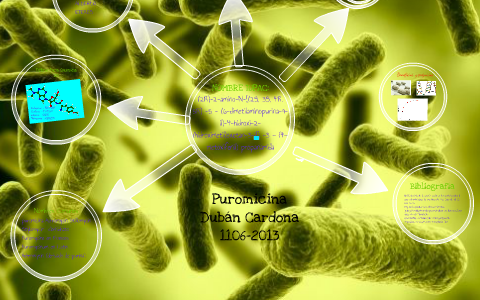 Puromicina by on Prezi