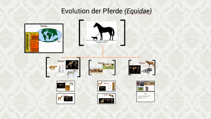Evolution der Pferde by Hanna Spangenberger on Prezi