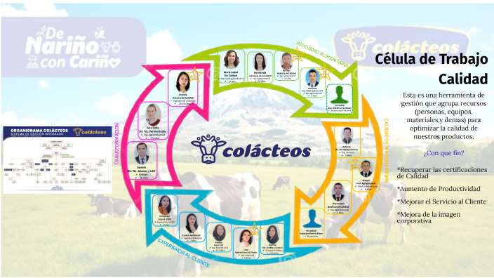 Estructura del Equipo del Área de Calidad by Anyela Narvaez on Prezi