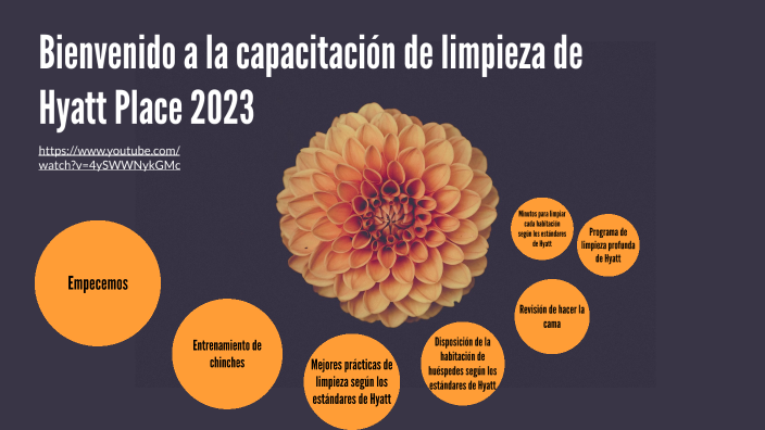 Hyatt Place Housekeeping Training by Johanna Jimenez on Prezi