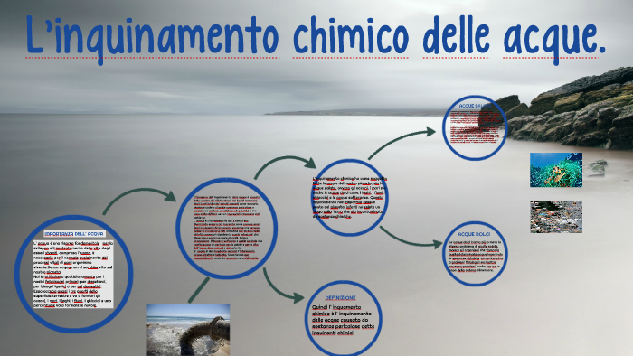 L'inquinamento chimico delle acque. by diana tania on Prezi