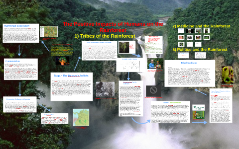 The Positive Impacts of Humans on the Rainforest by Isobel A on Prezi