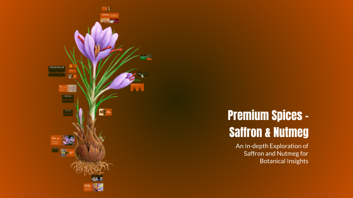 Premium Spices – Saffron & Nutmeg by syeda Afifa on Prezi