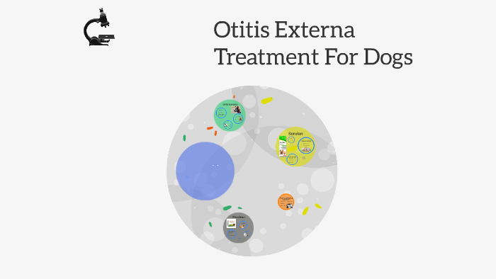 Otitis Externa Treatment For Dogs by Lucia Wang