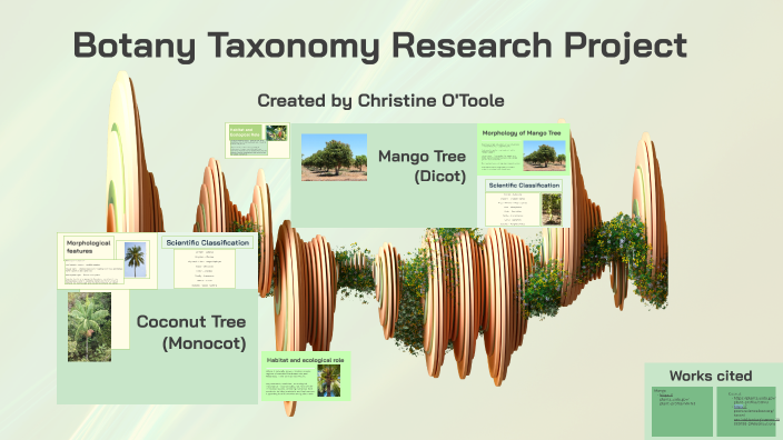 Botany Taxonomy Research Project by Christine O'Toole on Prezi