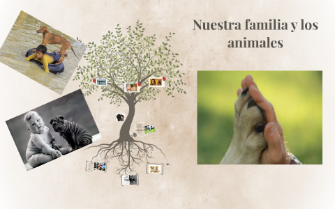 Nuestra familia y los animales by melisa rodas on Prezi