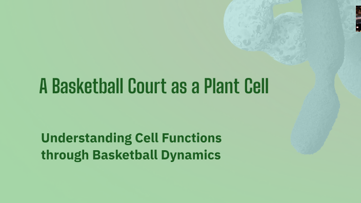 A Basketball Court as a Plant Cell by Ella Merrow on Prezi