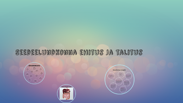 Seedeelundkonna ehitus by John Doe on Prezi
