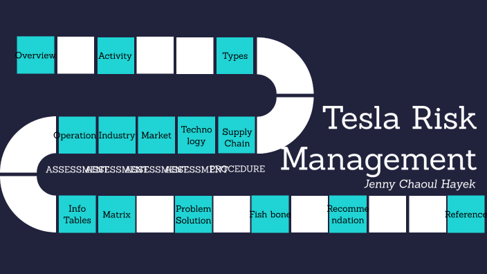 Tesla Risk Management by Jenny Hayek on Prezi