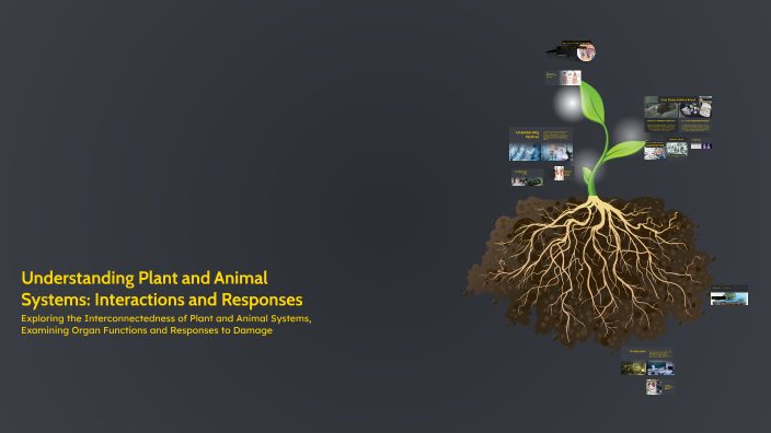 Understanding Plant and Animal Systems: Interactions and Responses by ...