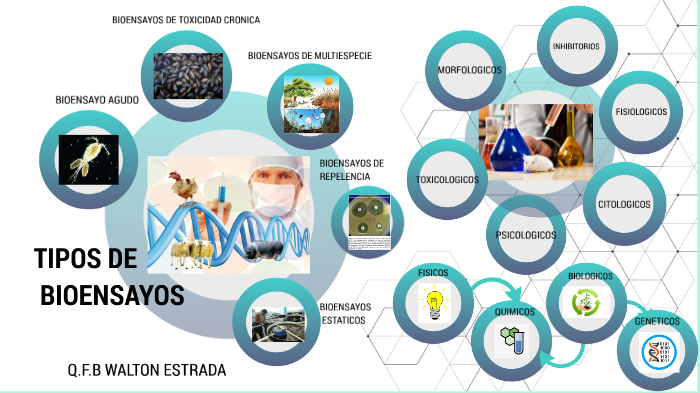 TIPOS DE BIOENSAYOS by walton estrada on Prezi