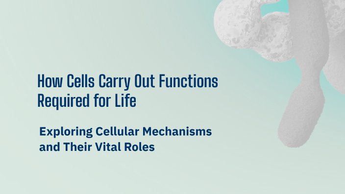 How Cells Carry Out Functions Required for Life by RICHARD CUA on Prezi